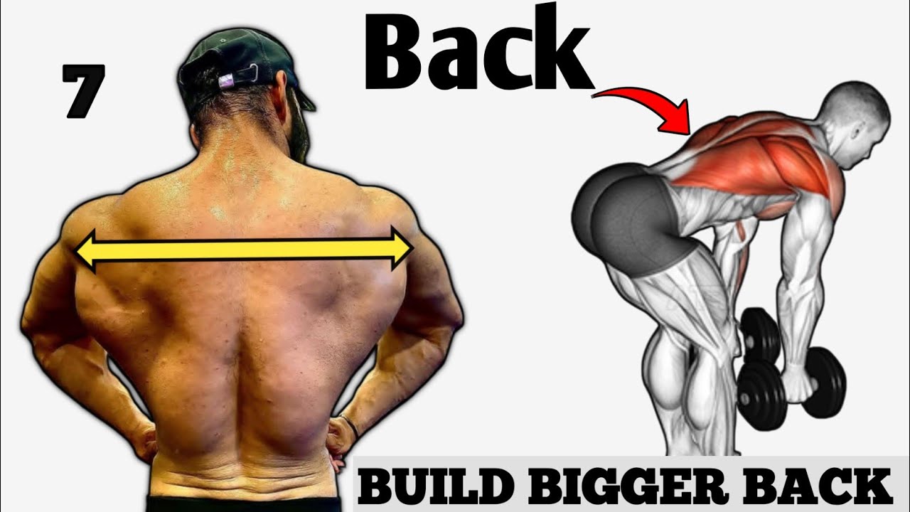 FULL BACK WORKOUT | Target: lower Back - upper Back - middle Back ...