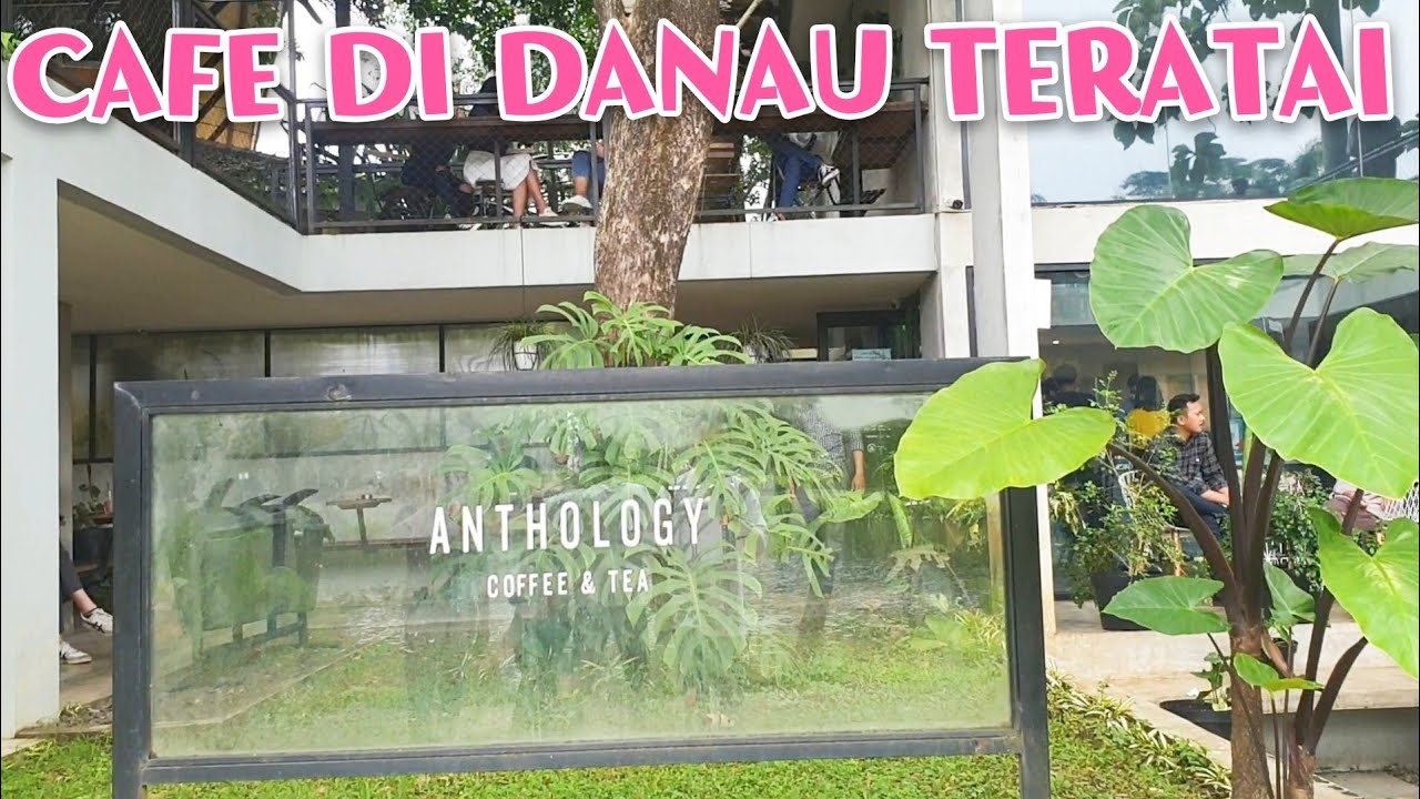 ANTHOLOGY COFFEE & TEA.. CAFE DI DANAU TERATAI - YouTube