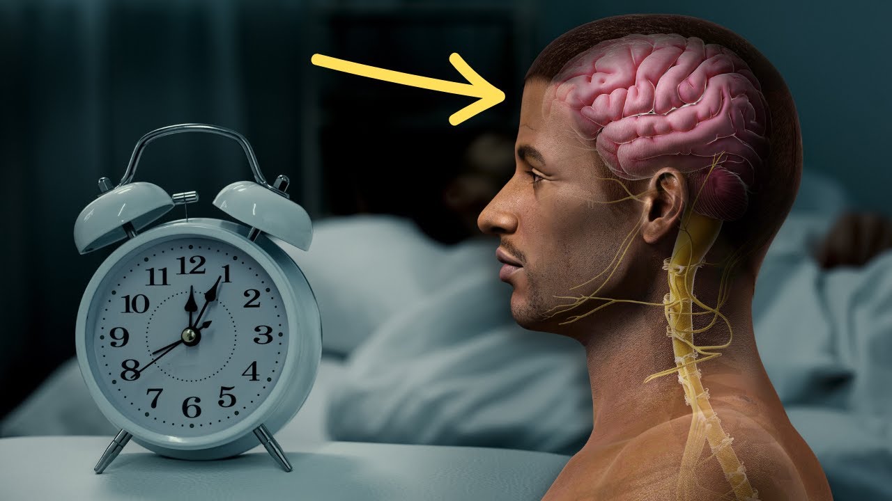 If You Don't Get Enough Sleep, This Will Happen To Your Brain - YouTube