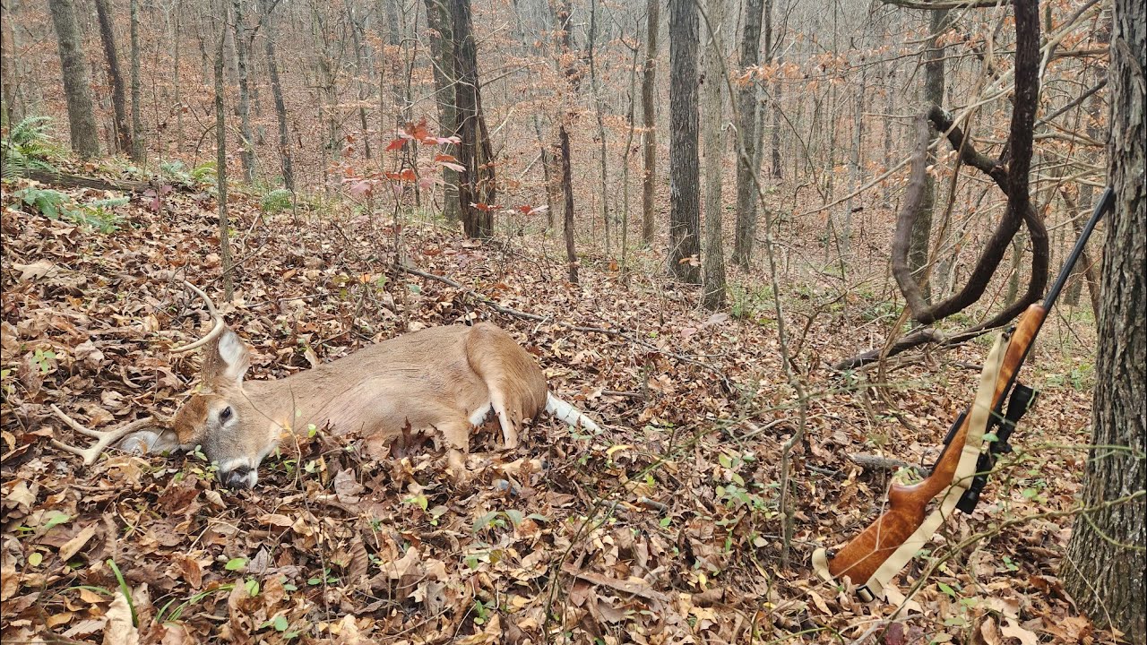 Still Hunting with Jerry’s Round-Nosed Bullets - YouTube