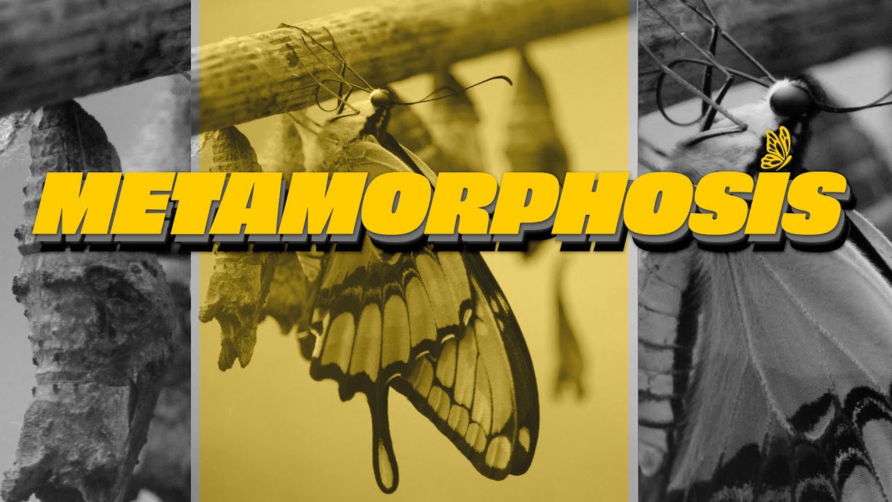 2023-01-01 SGCSTL Scott Joggerst - Metamorphosis [Sermon] - YouTube