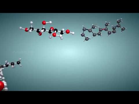 Open Chain Carbon Compounds | Class 10 Chemistry | Learn through ...