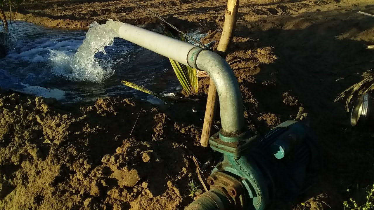 texmo water pump | water pump | 1.5 texmo water pump deliverers High ...