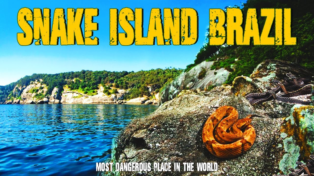 Snake Infested Island