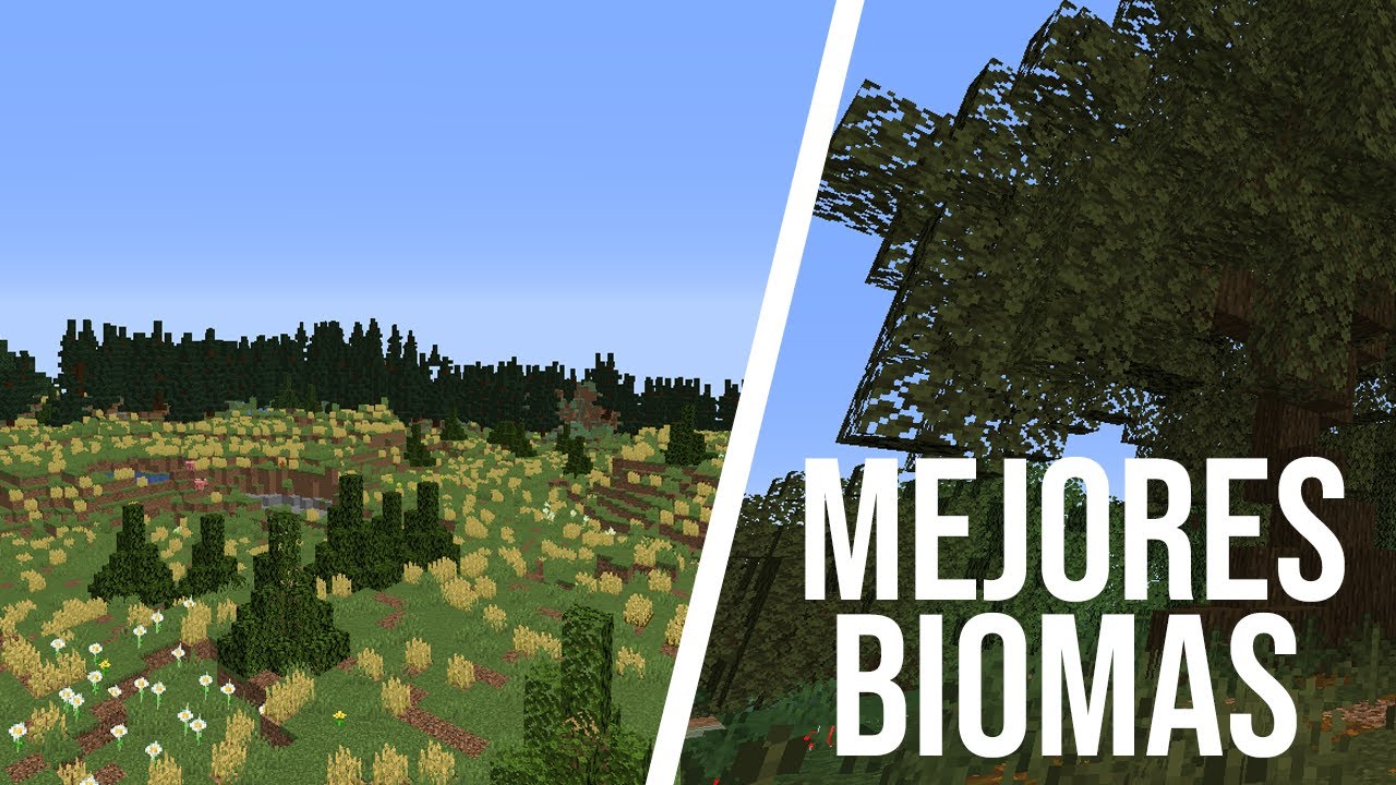 Añade Mejorar A Los Biomas Con Este Datapack [Minecraft] - YouTube