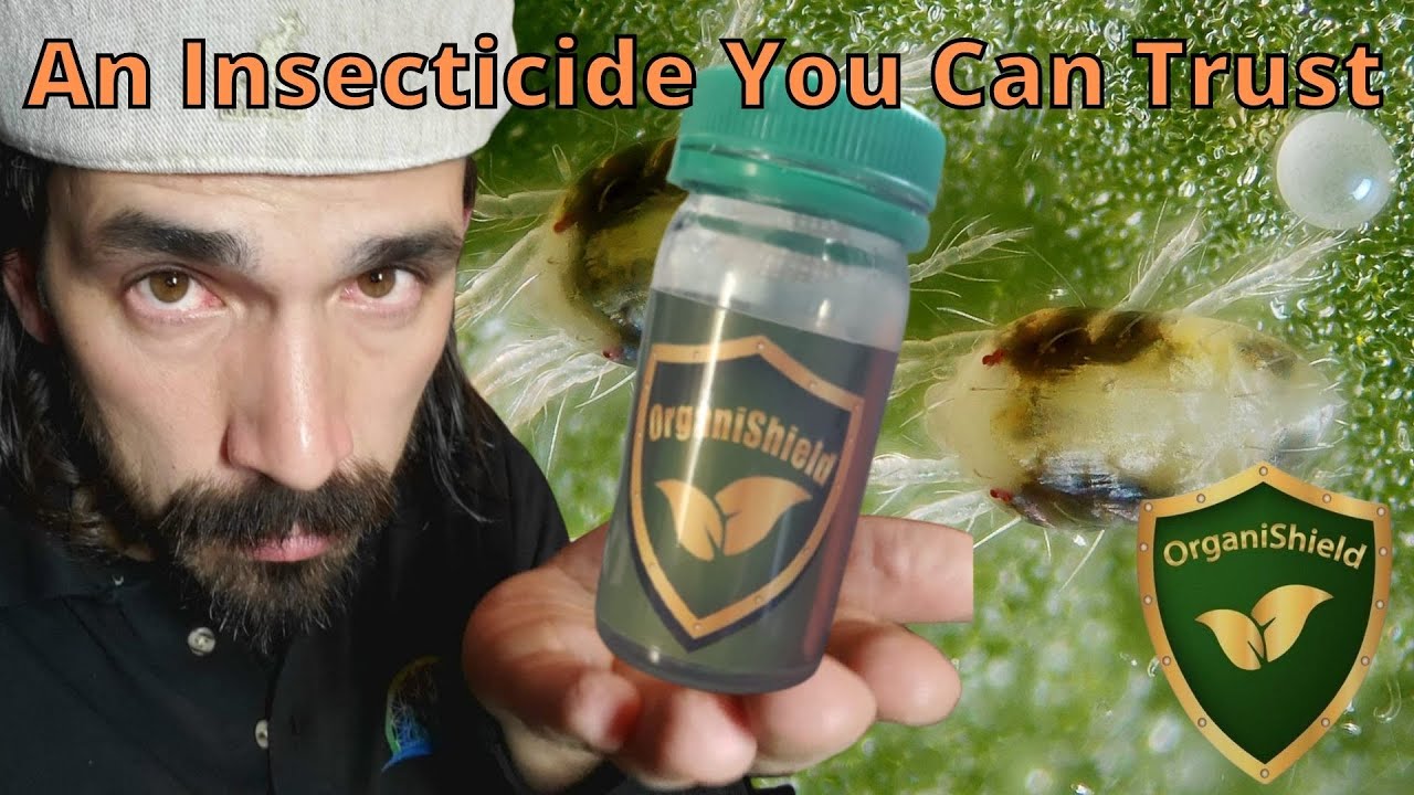 OrganiShield - An Insecticide You Can Trust - YouTube