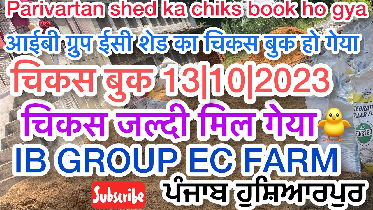 चिकस 🐥बुक हो गेया मेरा 13|10|2023 को।automatic poultry farm in India|ib ...