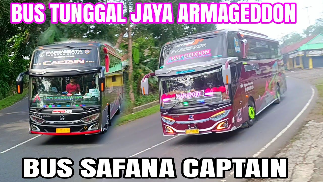 Artis Bus Basuri Bus Tunggal Armageddon,Bus Safana Captain. - YouTube