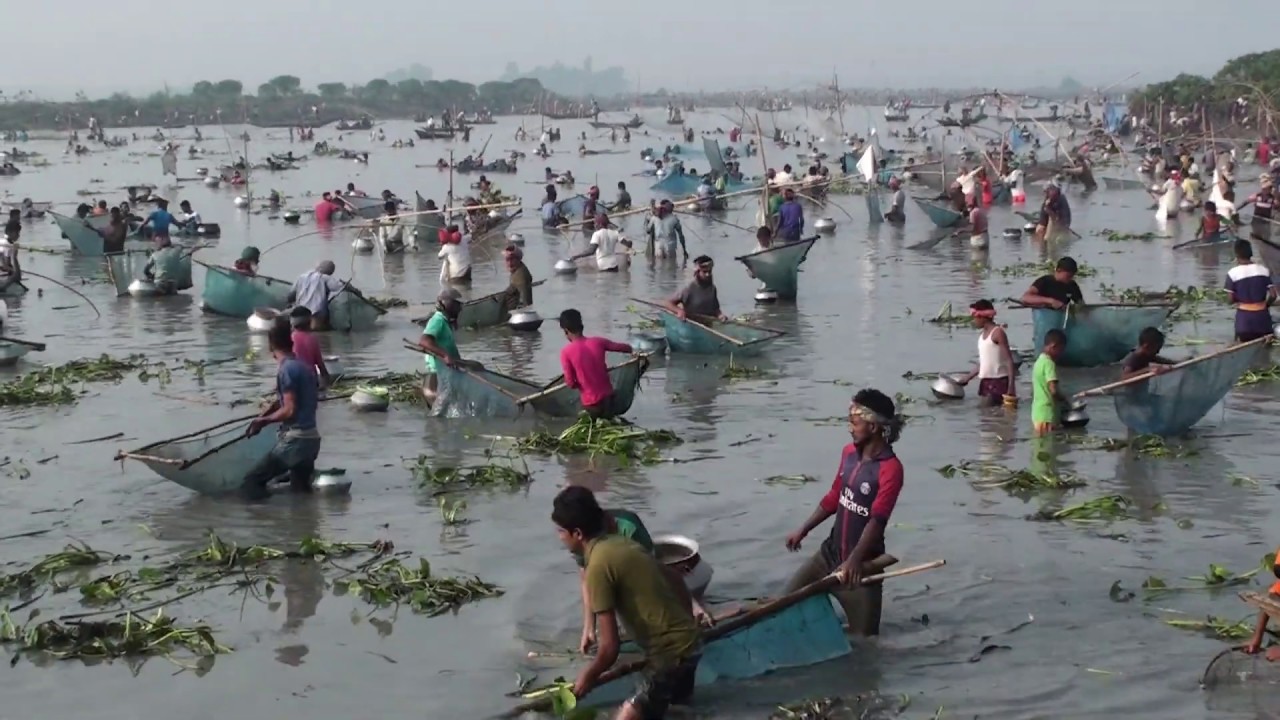 Push net fishing | বাউত উৎসবের মধ্যে ঠেলাজাল ‍দিয়ে মাছ মারা - YouTube