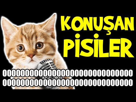 Konuşan Pisiler 0000000000000000000000000000000000000000000000000000000000 - En Komik Kedi Videoları