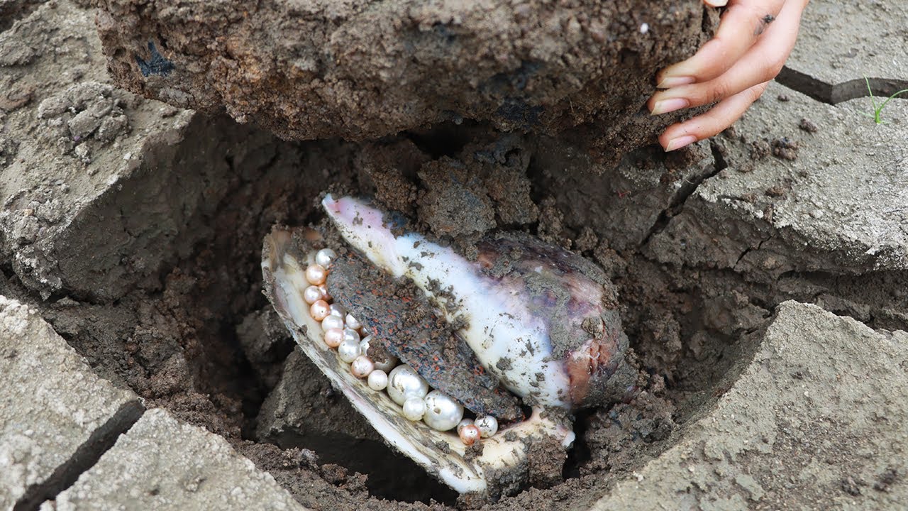 Hunting Crystal Pearls Inside Shells In Underground Secret Soil - YouTube