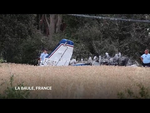 Founder of global gaming company Ubisoft killed in plane crash in France