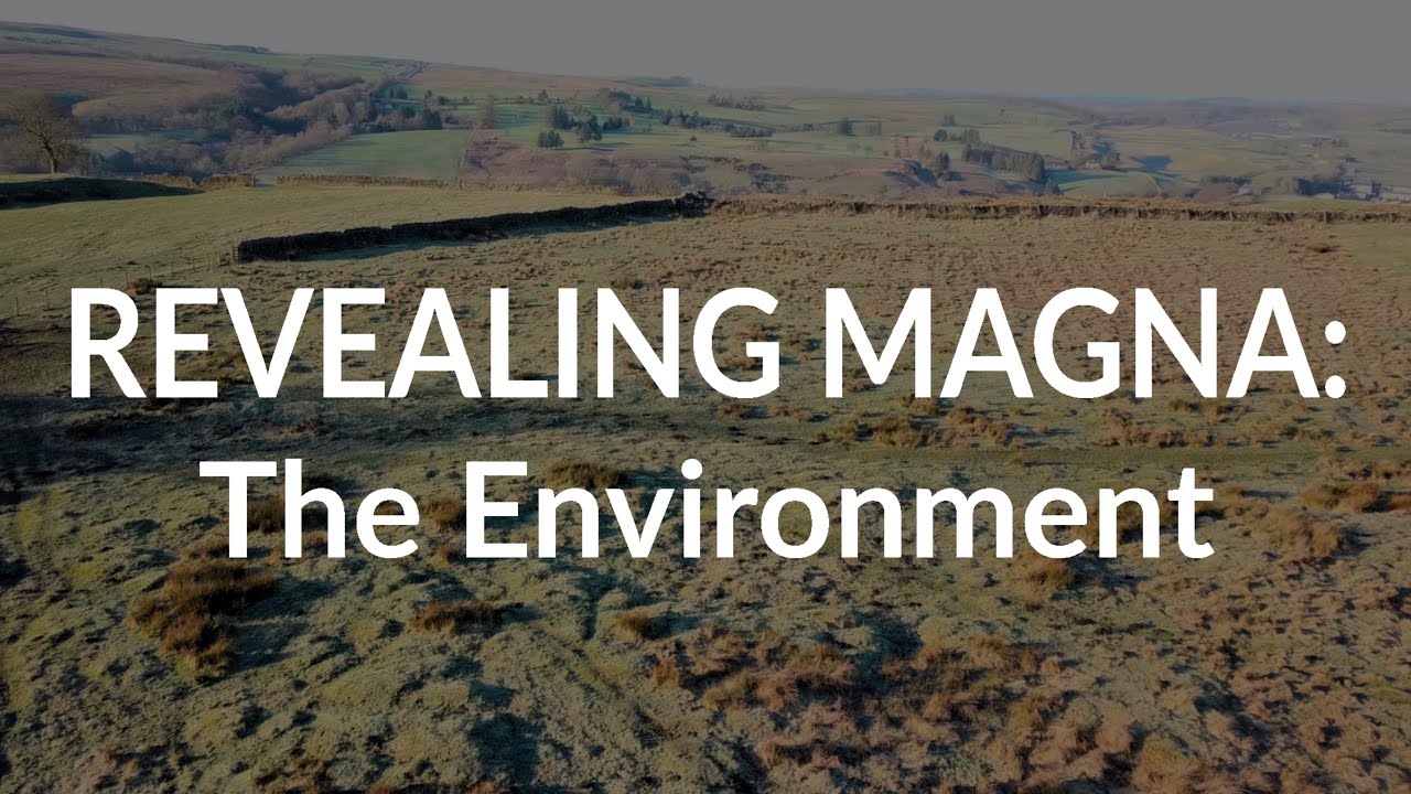 Revealing Magna: The Environment - YouTube