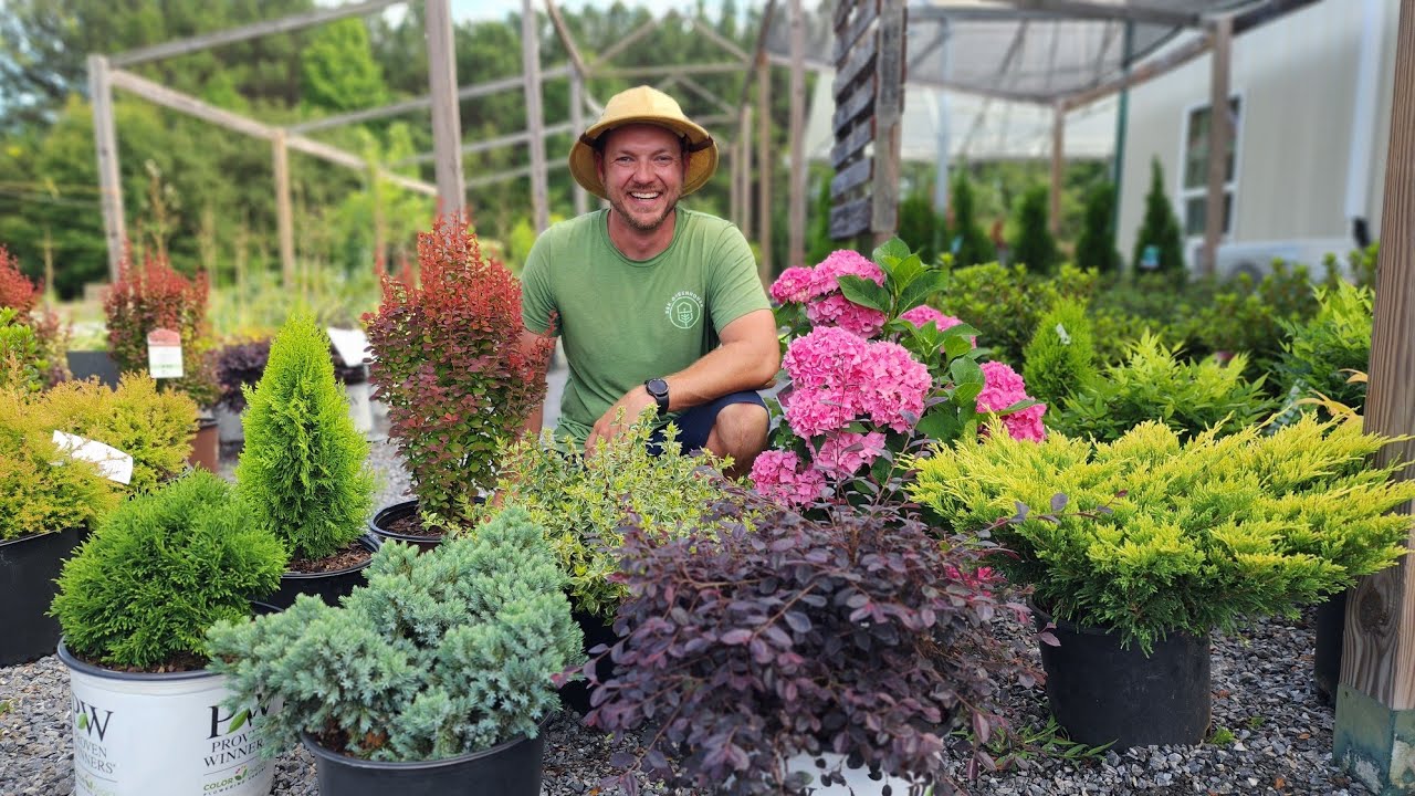 15 Compact Shrubs for Small Spaces - YouTube