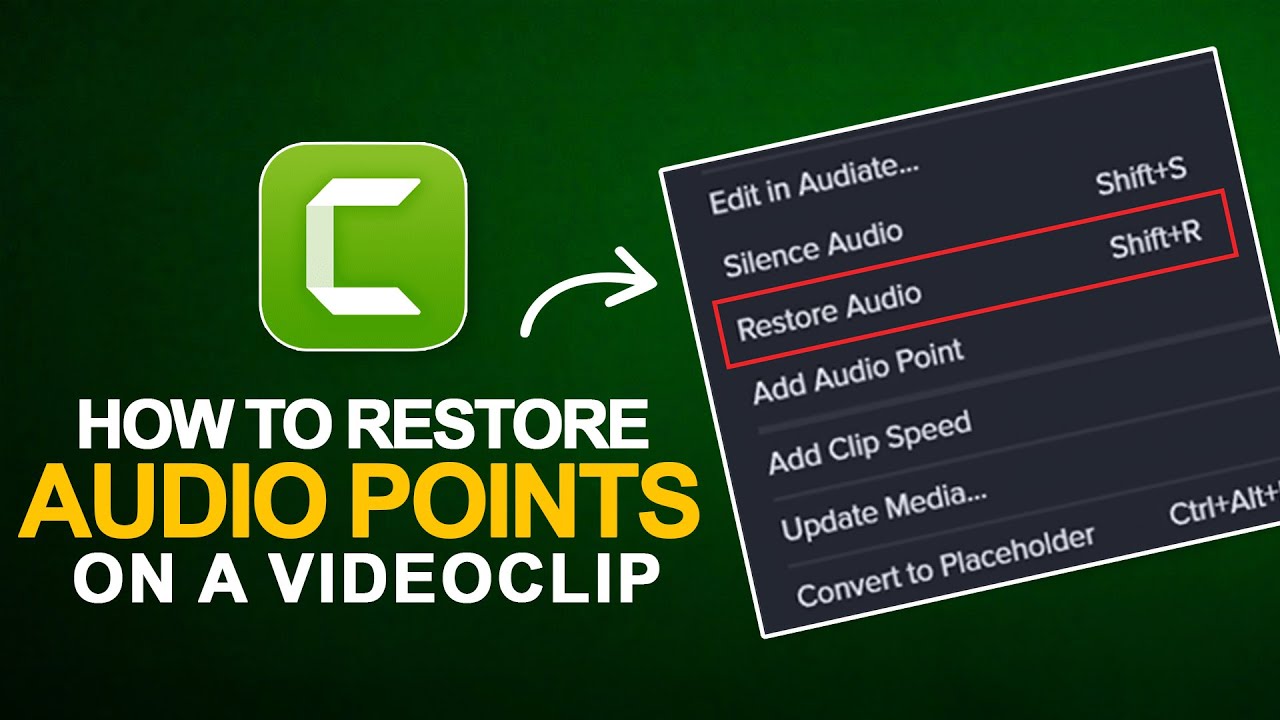 How to Restore the Audio points on a Videoclip in Camtasia | Camtasia ...