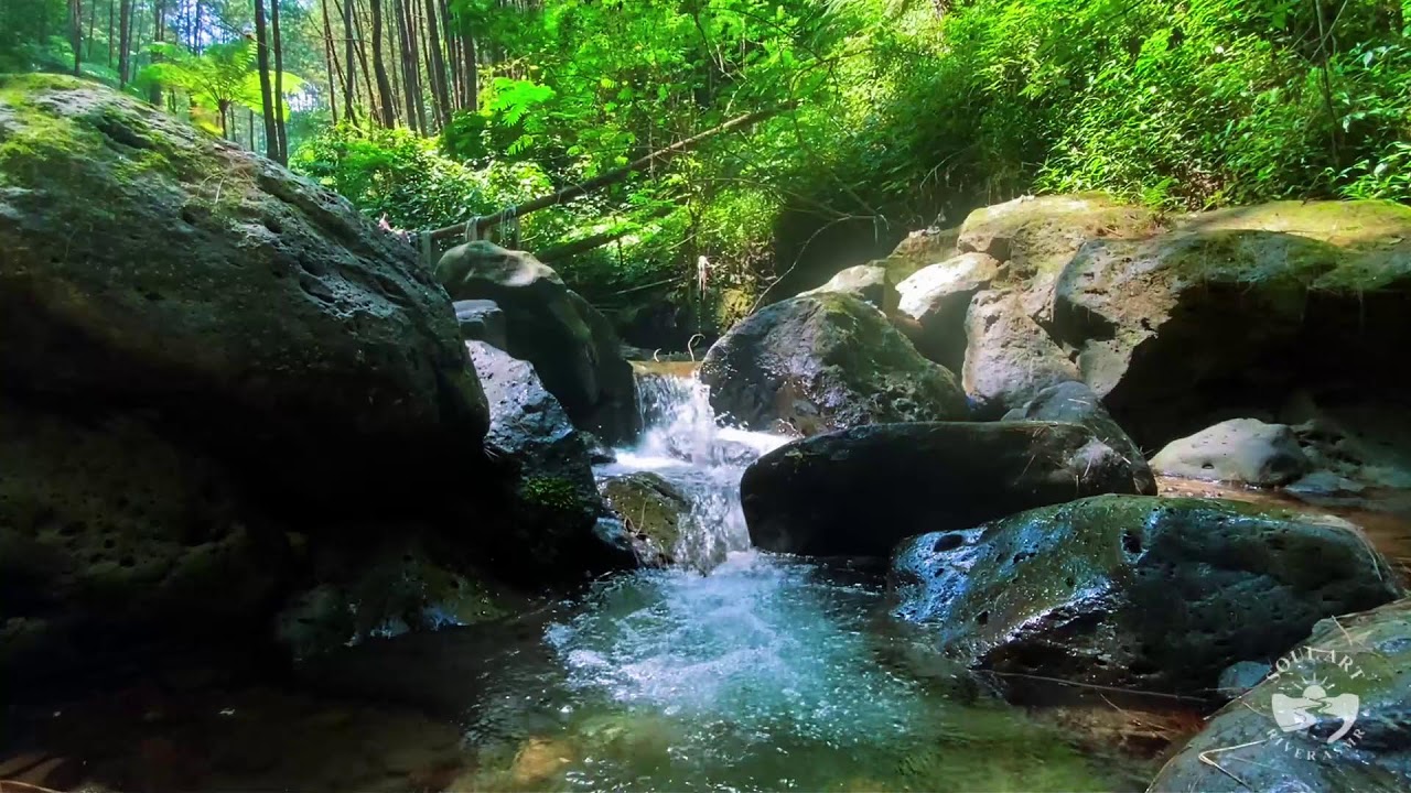 Night River Sounds for Sleep | Calm Water Stream ASMR, Relax Mind ...