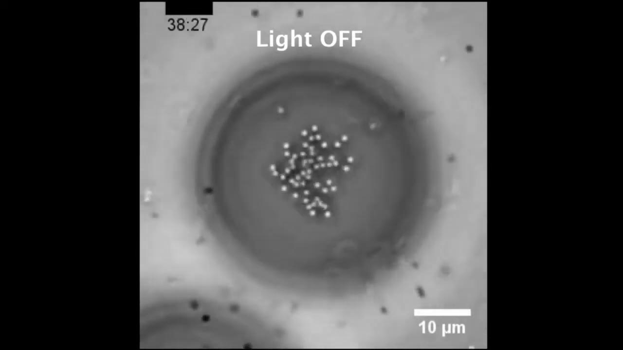 Small particles freezing when warmed by light - YouTube