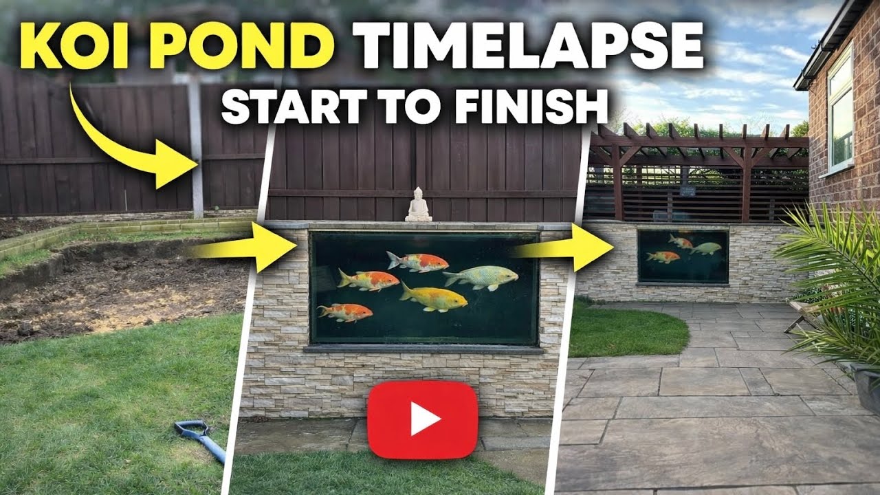 Koi Pond With Window Time Lapse - Start to Finish - YouTube
