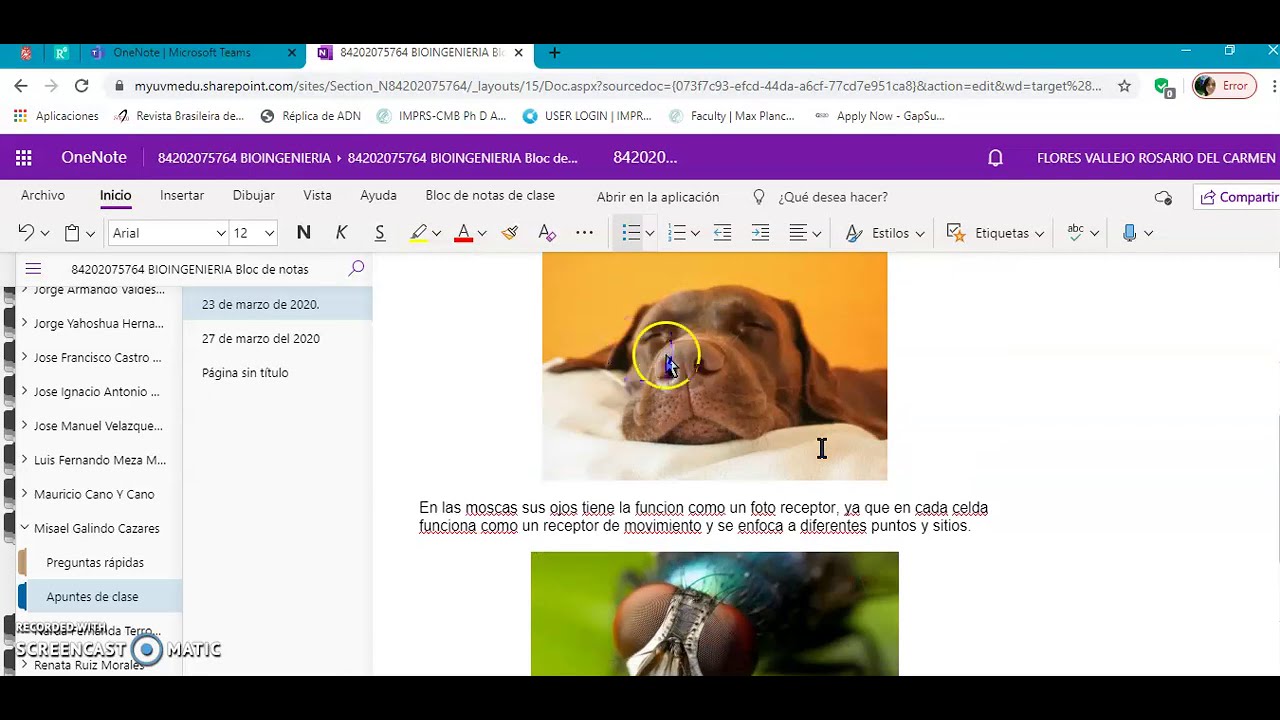 Como hacer apuntes en One Note desde Teams - YouTube