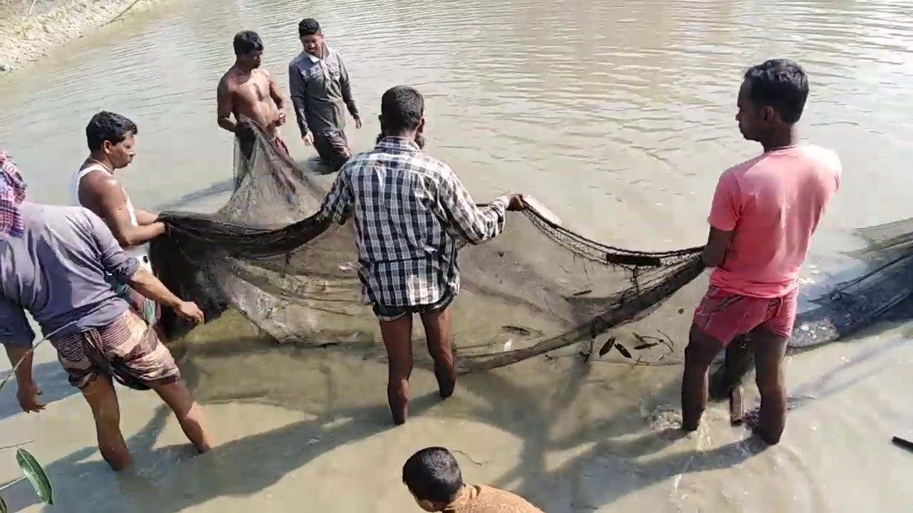 Adhunik Poddhotite Mach Chas - YouTube