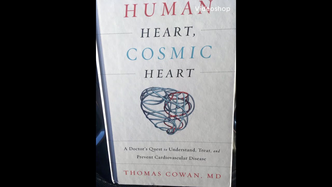 Human Heart Cosmic Heart Review - YouTube