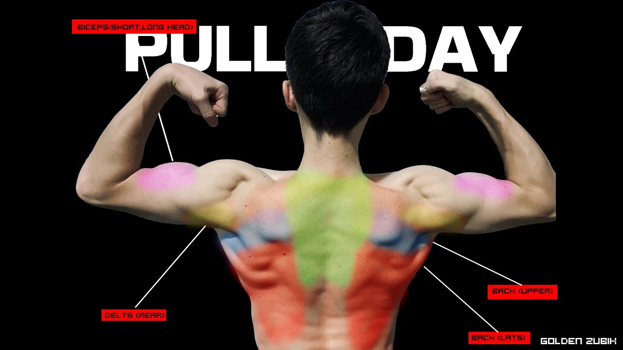 The BEST Pull Workout | Science-Based | (PUSH | PULL | LEGS) - YouTube