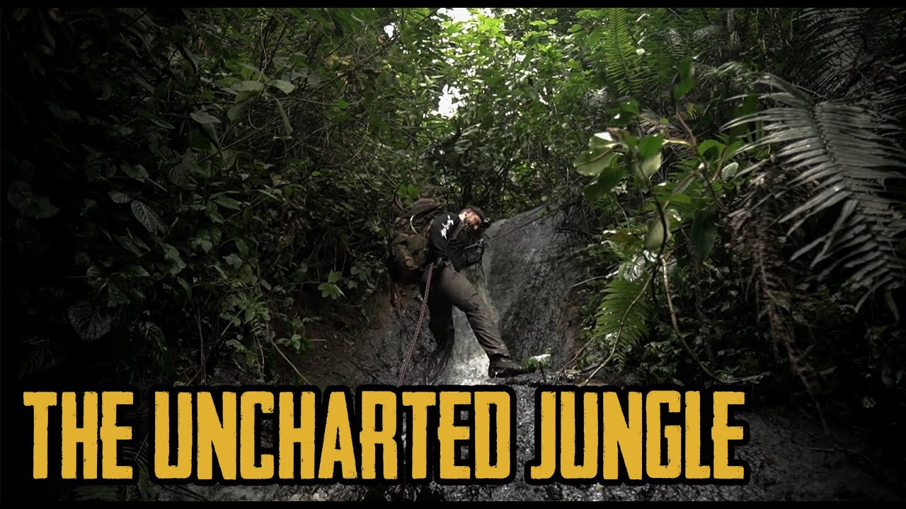 SURVIVAL 🌴MENJELAJAHI HUTAN RAHASIA DI INDONESIA Part 2 Ft @TYO ...