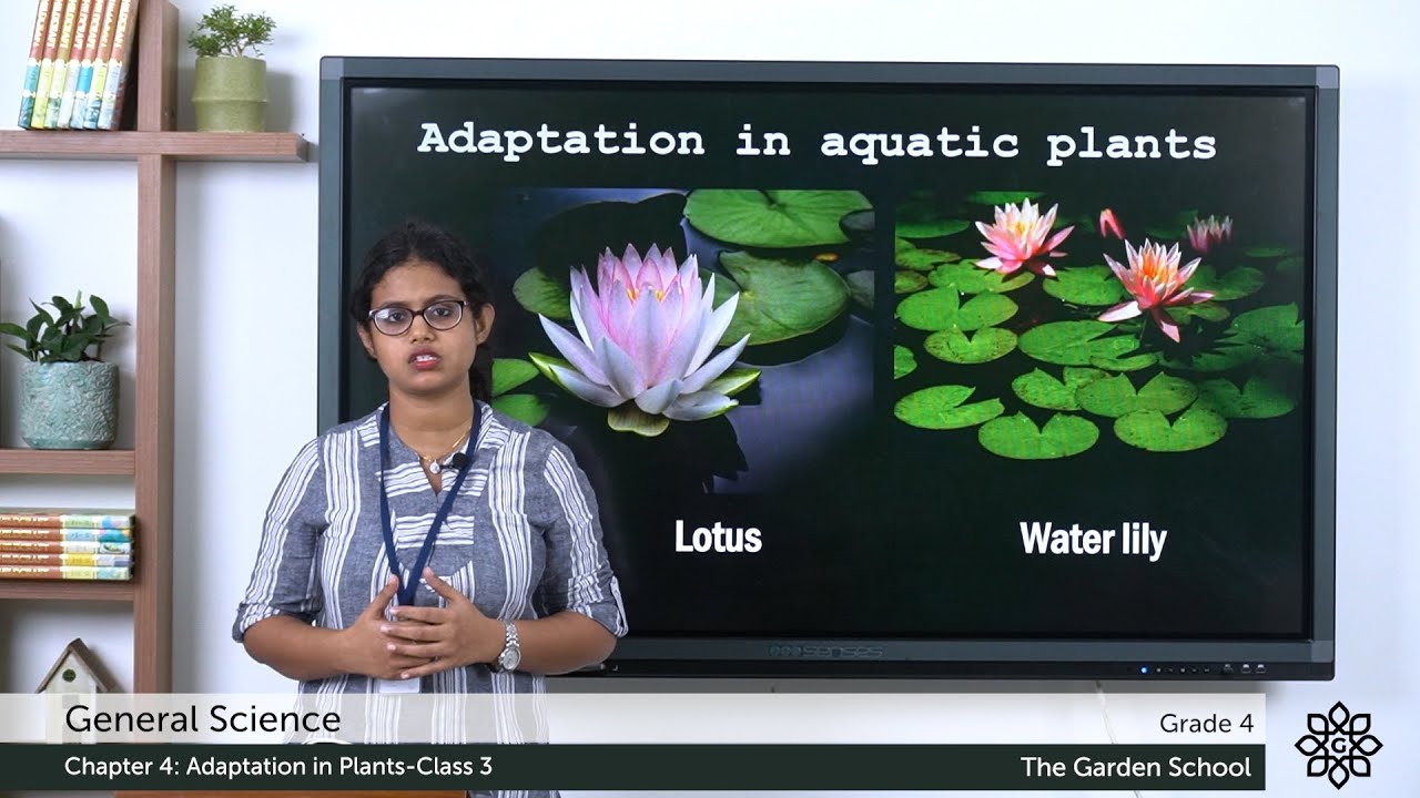 Grade 4 General Science Chapter 4 Class 3 Adaptations of Plants of ...