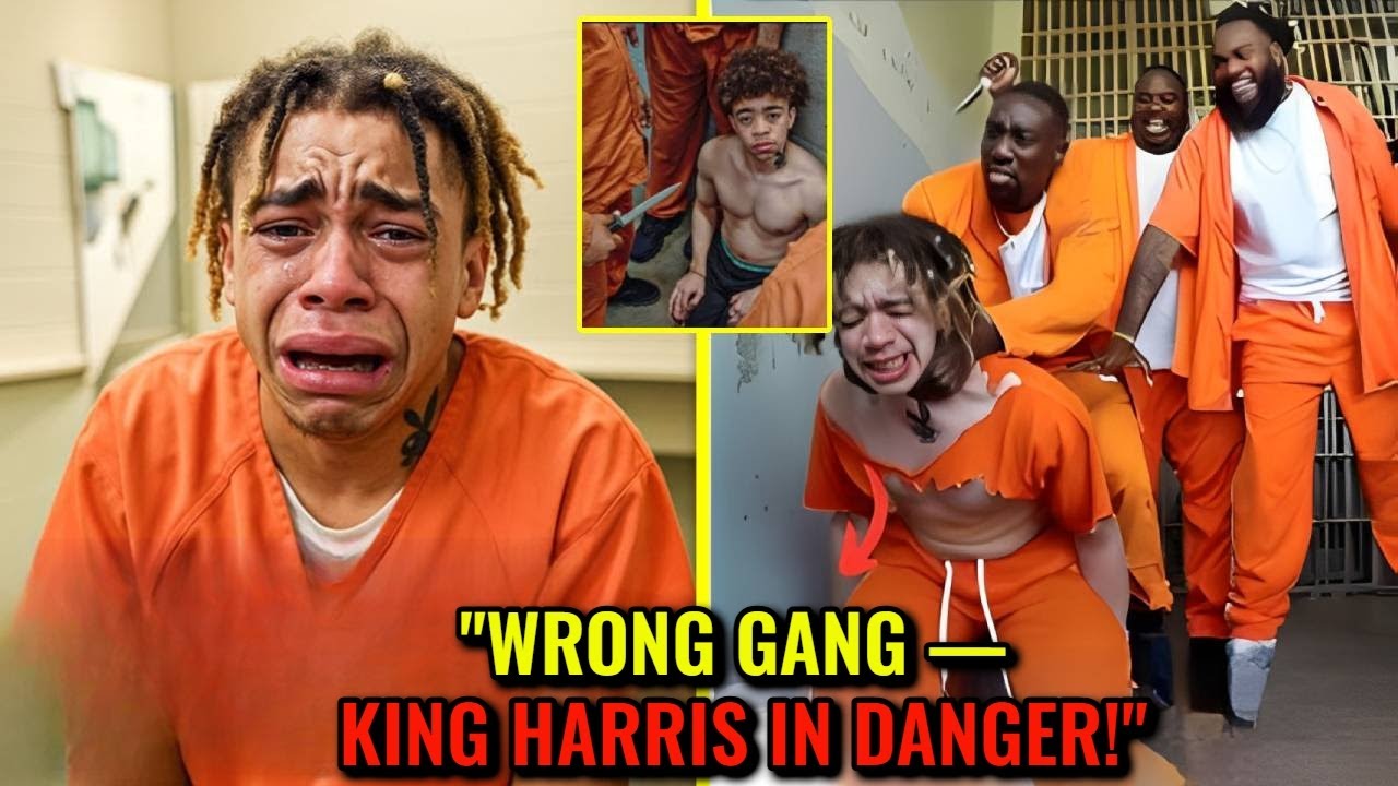 King Harris BEGS The Judge For Freedom | After Crossing The WRONG Gang ...