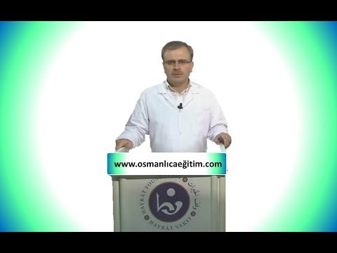 Arapça ve Farsça tamlama misalleri(184)