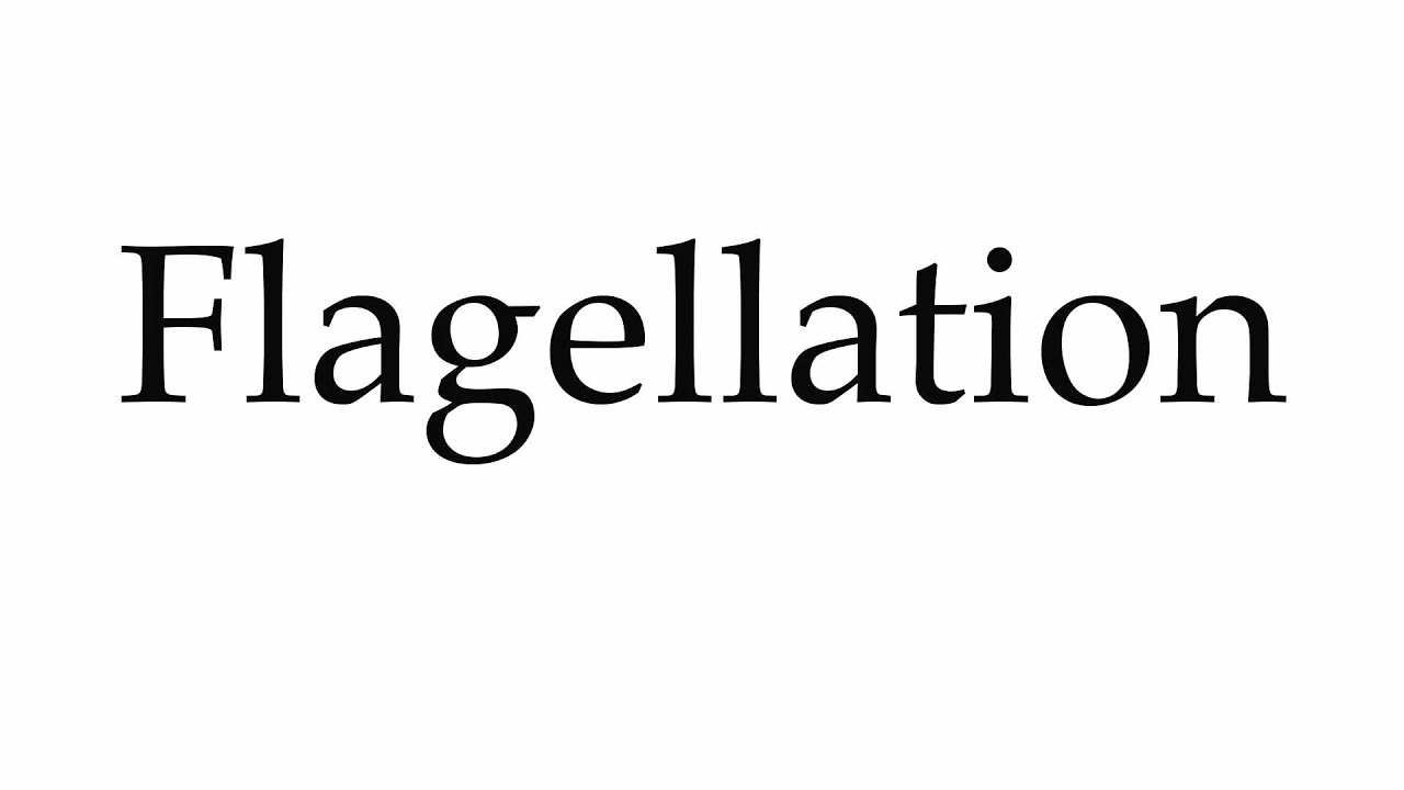 How to Pronounce Flagellation - YouTube