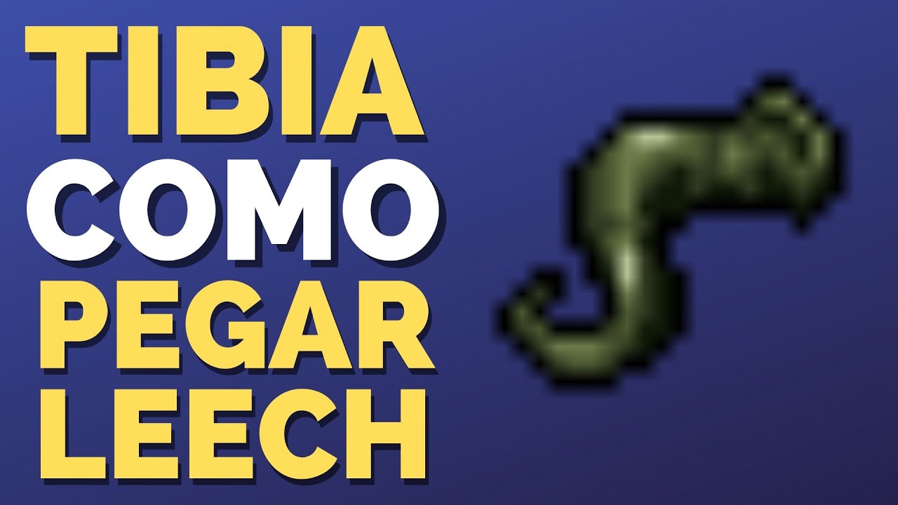 Como Pegar Leech em Venore - Tibia - YouTube