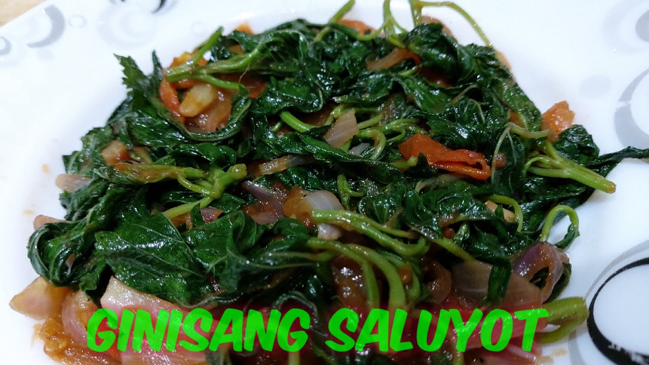 GINISANG SALUYOT / PASOK SA BUDGET - YouTube