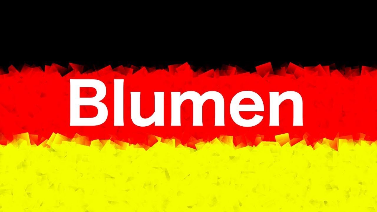 Vocabulario alemán: flores - die Blumen - (30 palabras) - YouTube