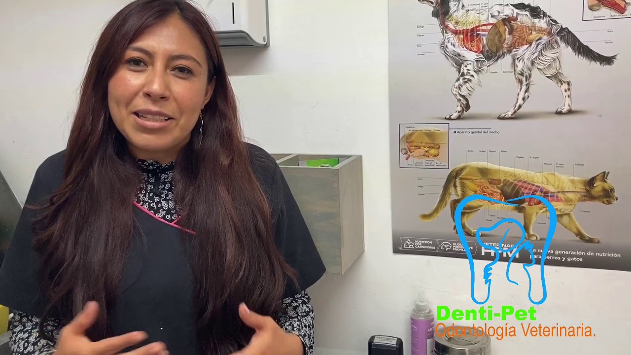 Dra. Nancy Salgado nos habla de la enfermendad periodontal. - YouTube