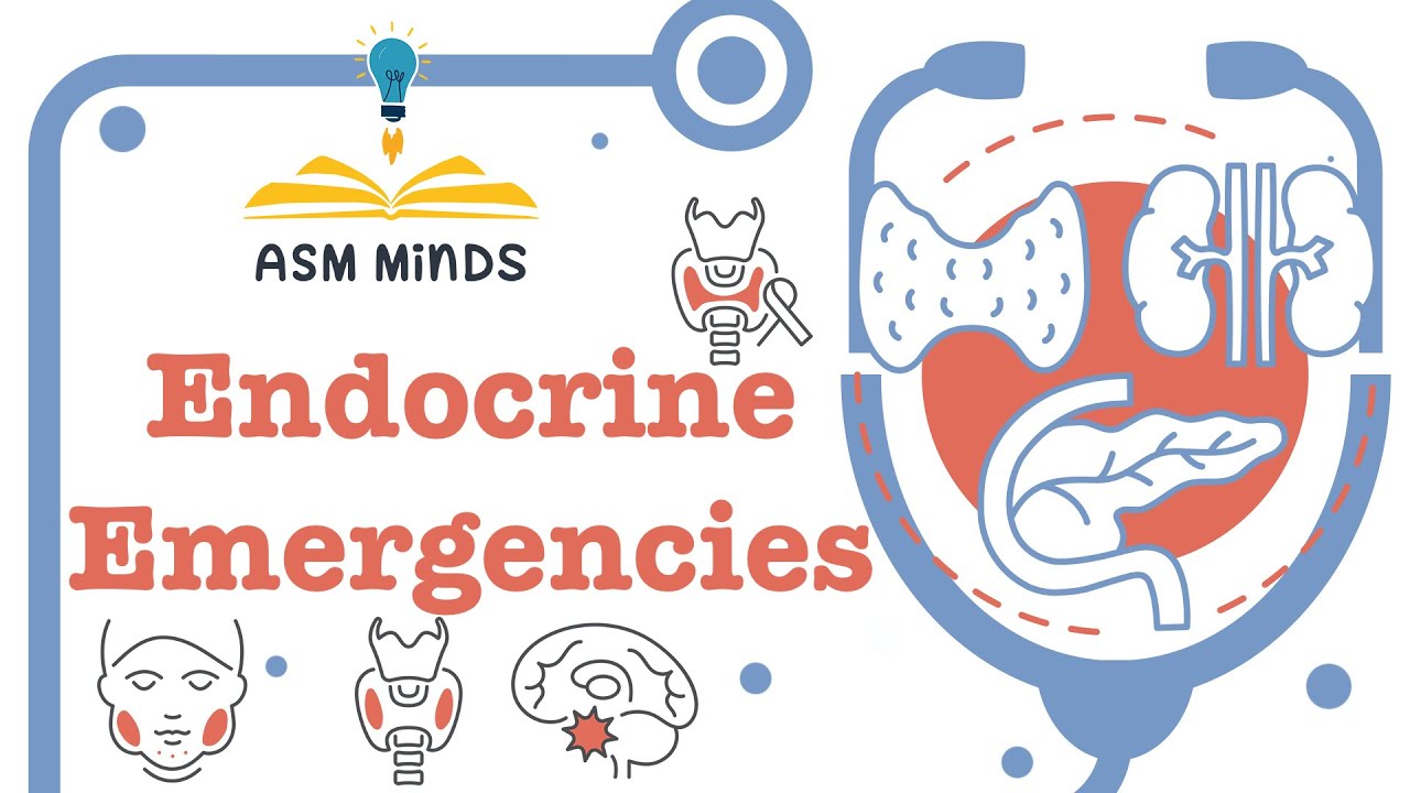 Endocrine Emergencies by ASM Minds Team update - YouTube