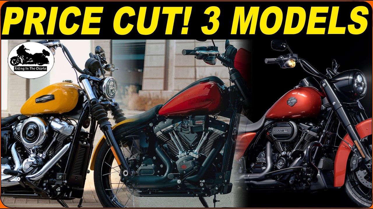 HARLEY DAVIDSON Cuts PRICES AGAIN! 3 MORE MODELS! - YouTube