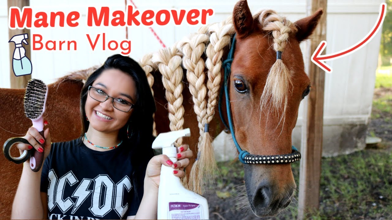 Mane Makeover & Update On Bluejeans Cut | Barn Vlog - YouTube