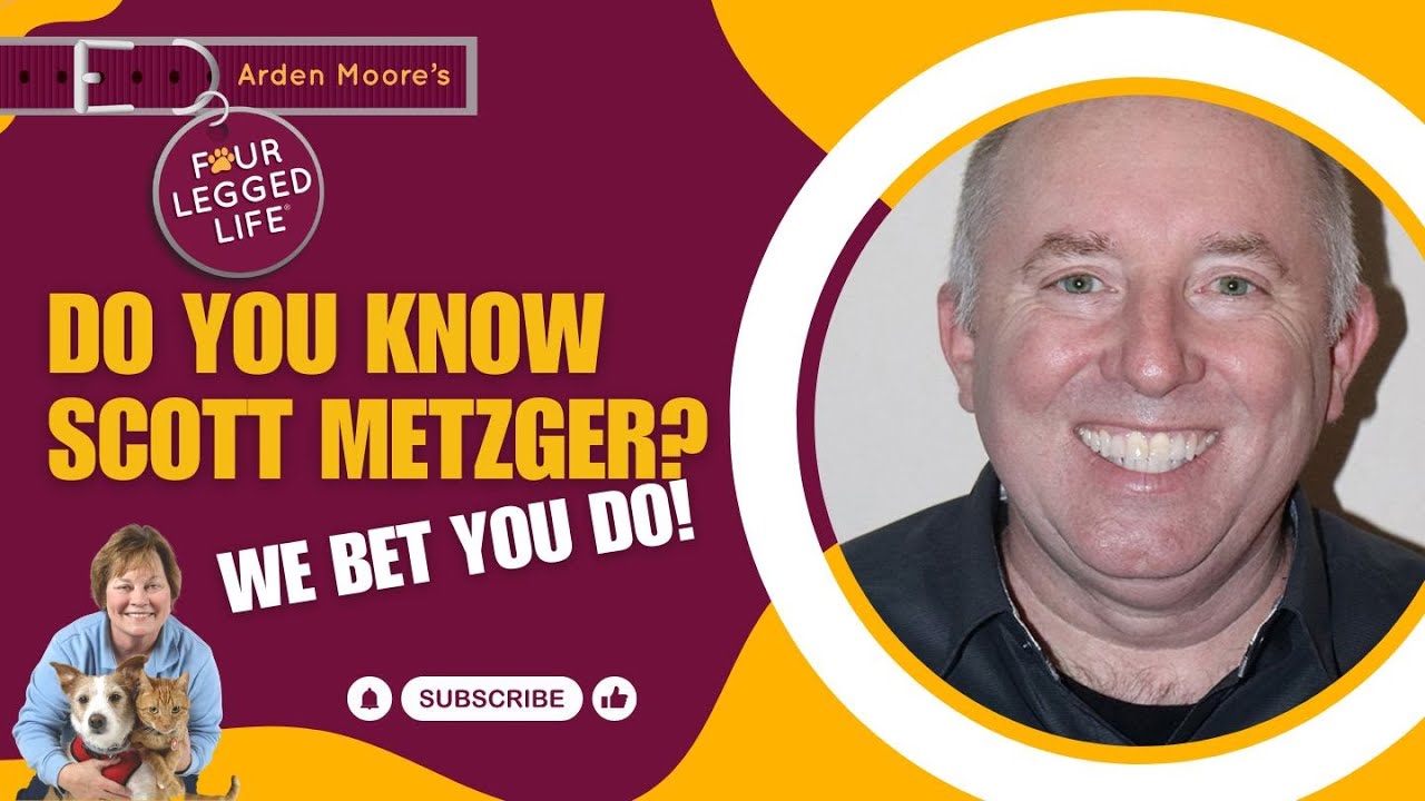 Meet Cartoonist Scott Metzger - YouTube