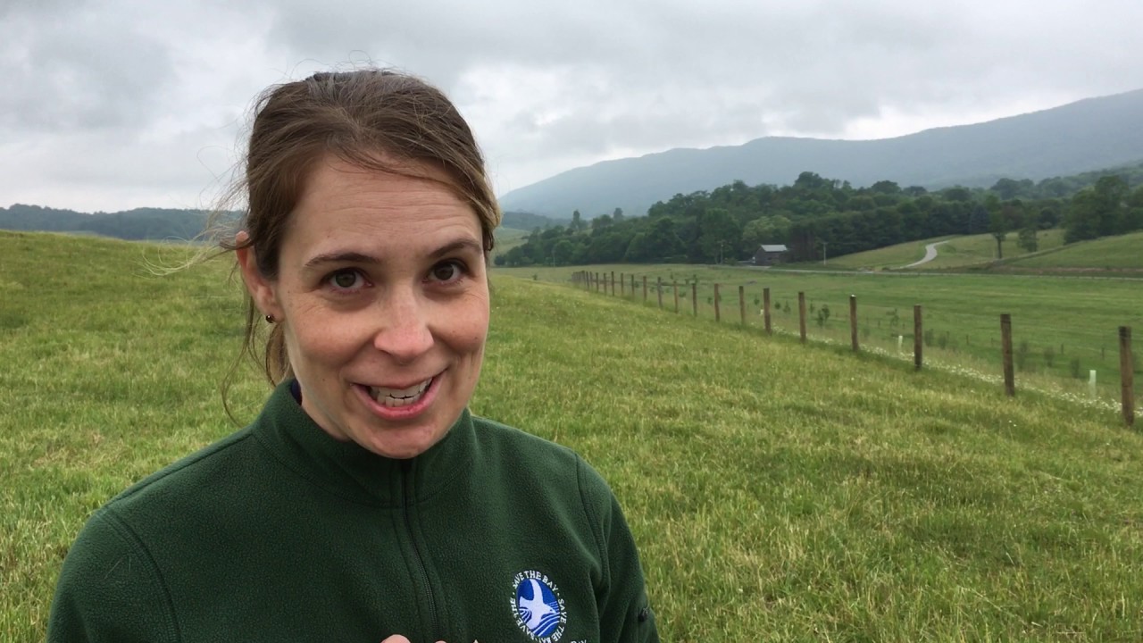 Chesapeake Bay Awareness Week: Stream protection at the Callison farm ...