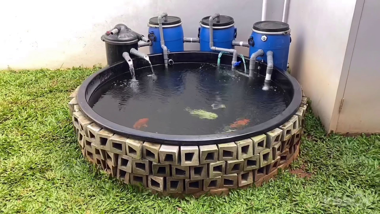 Kolam Ikan Koi Fiber Murah & Minimalis | Kolam Ikan DIY - YouTube