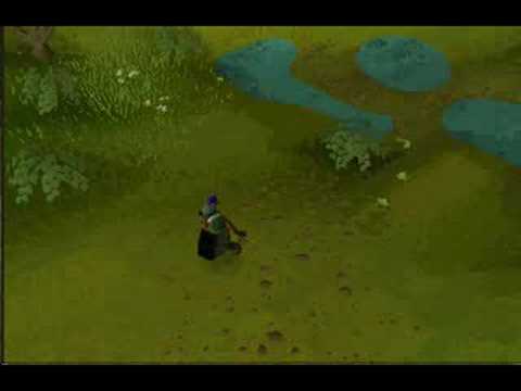 Where to find teak trees on Runescape - YouTube
