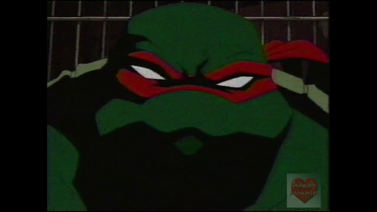 Fox Box Bumper | Teenage Mutant Ninja Turtles | 2003 | On The Next ...