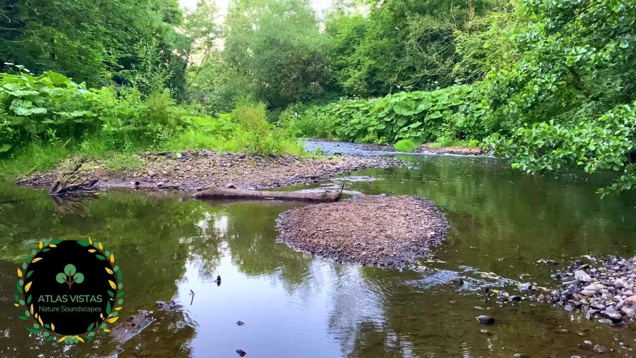 A Little River Flowing for Stress Relief. A Peaceful River Scene. - YouTube