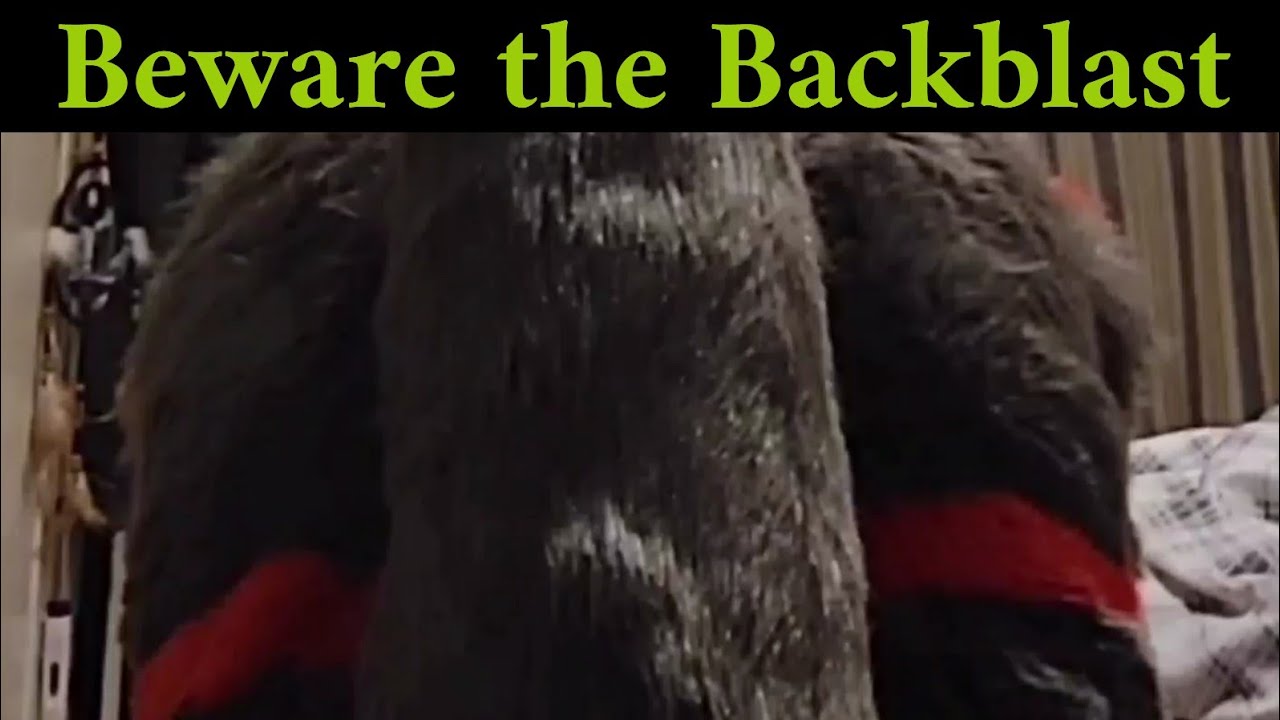 Beware the Backblast - Fursuit Fart Compilation (furry farts) - YouTube