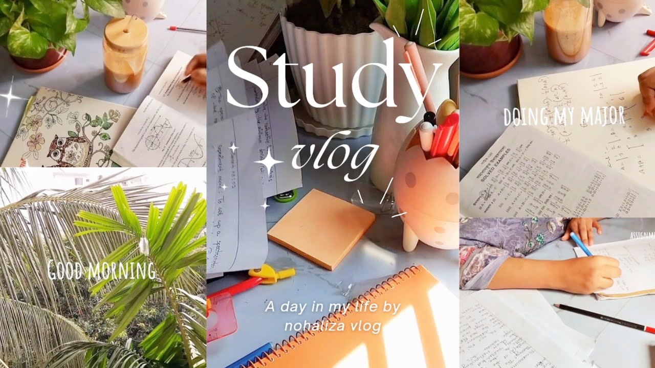 Back to study📚| productive study vlog🌸| assingnment| notes taking ...