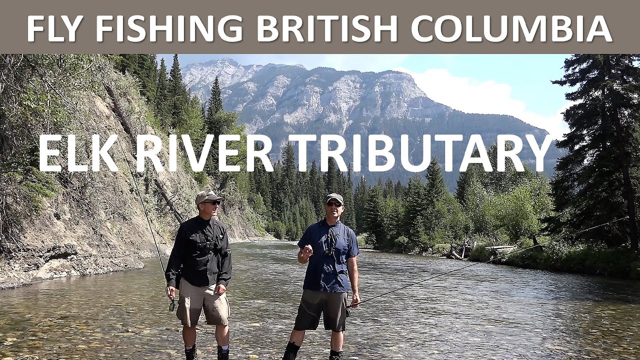 Fly Fishing British Columbia's Elk River Tributary in August [Episode ...