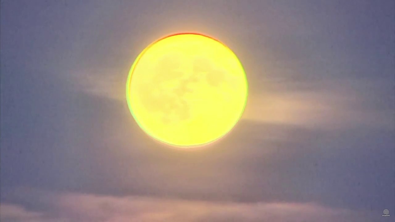 Coyote howling at the full moon - YouTube