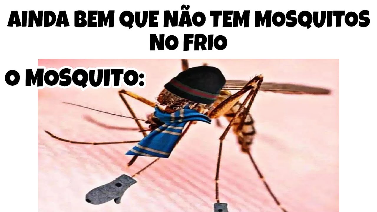 30 MINUTOS!! MEMES EM IMAGENS ENGRAÇADOS - O mosquito no frio kkk😂 ...