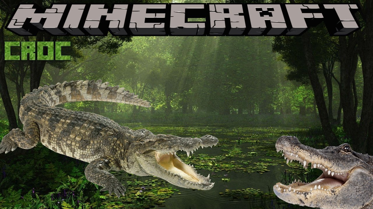 CROC MOD - MINECRAFT 1.15.2 (MOD SHOWCASE) - YouTube